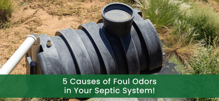 A Restaurant Owner’s Guide to Grease Traps: Understanding and ...